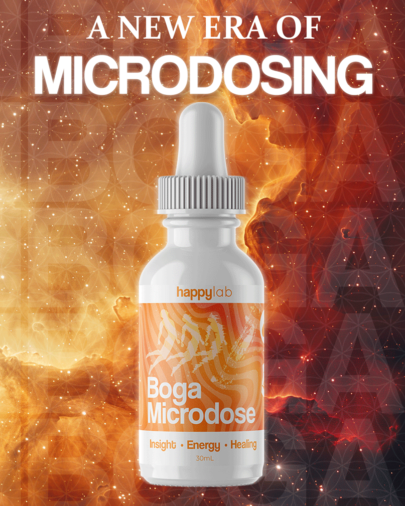 Your Complete Boga Guide: 2025 Updated – Dream Lab