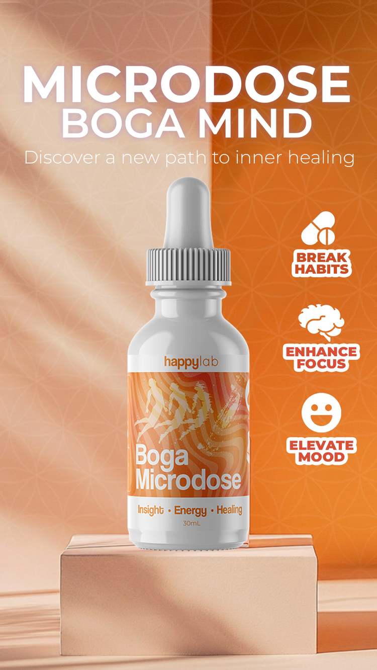 Your Complete Boga Guide: 2025 Updated – Dream Lab