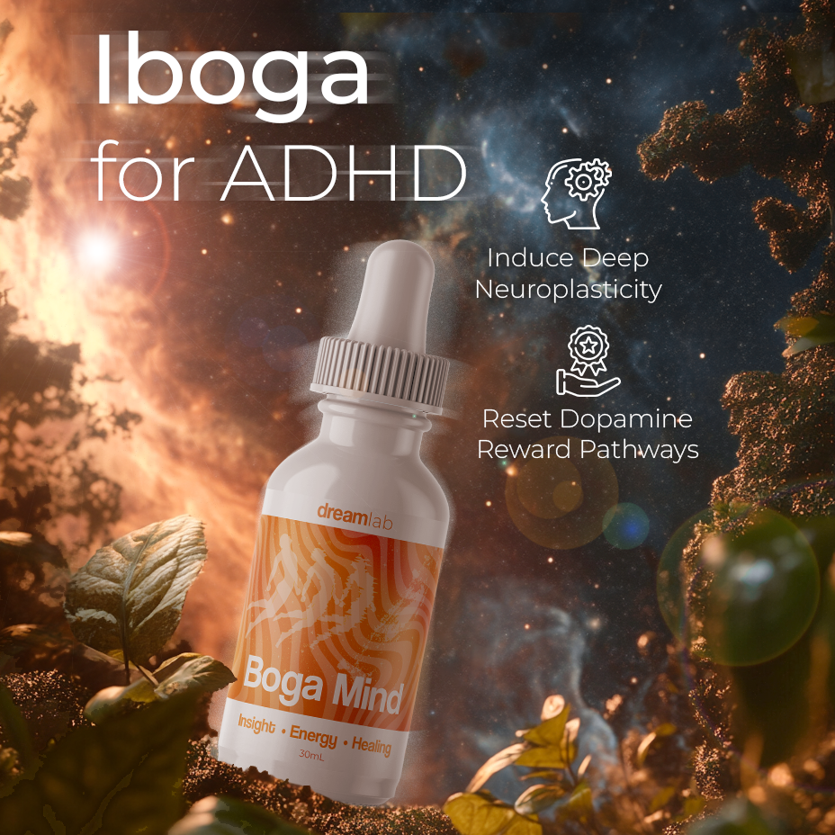 Boga Mind – Dream Lab