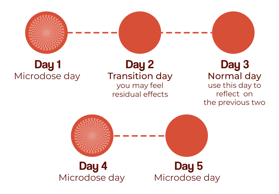 Your Complete Boga Guide: 2025 Updated – Dream Lab